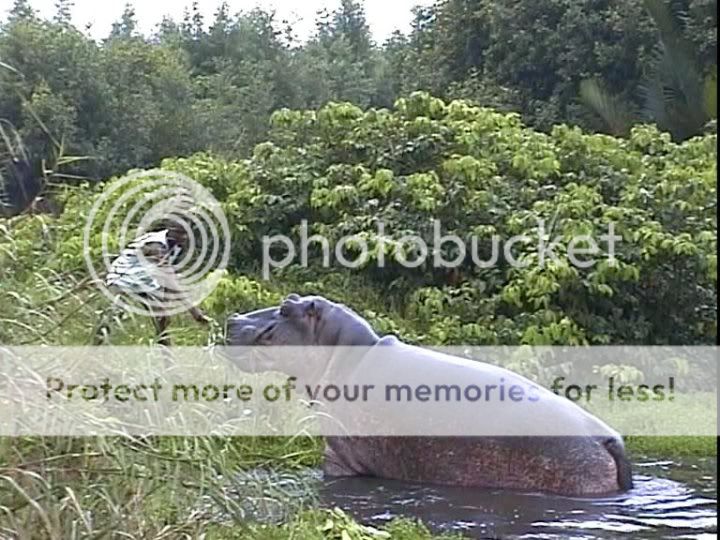 Bonny Island, Nigeria! (The true island of rivers state ...