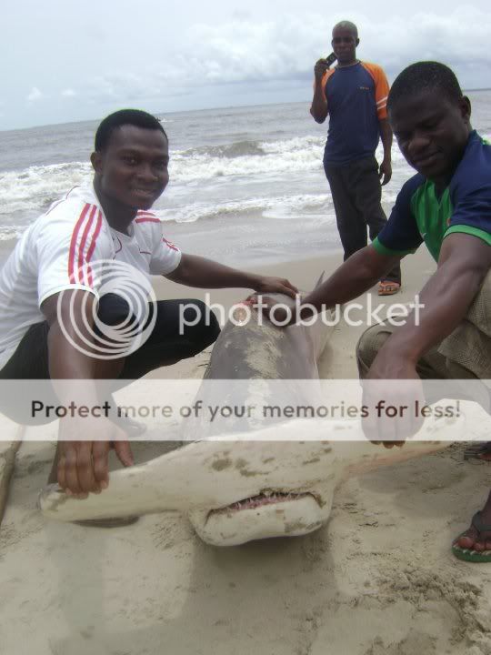 Bonny Island, Nigeria! (The true island of rivers state ...