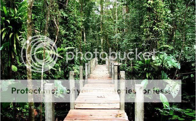 Bonny Island, Nigeria! (The true island of rivers state ...