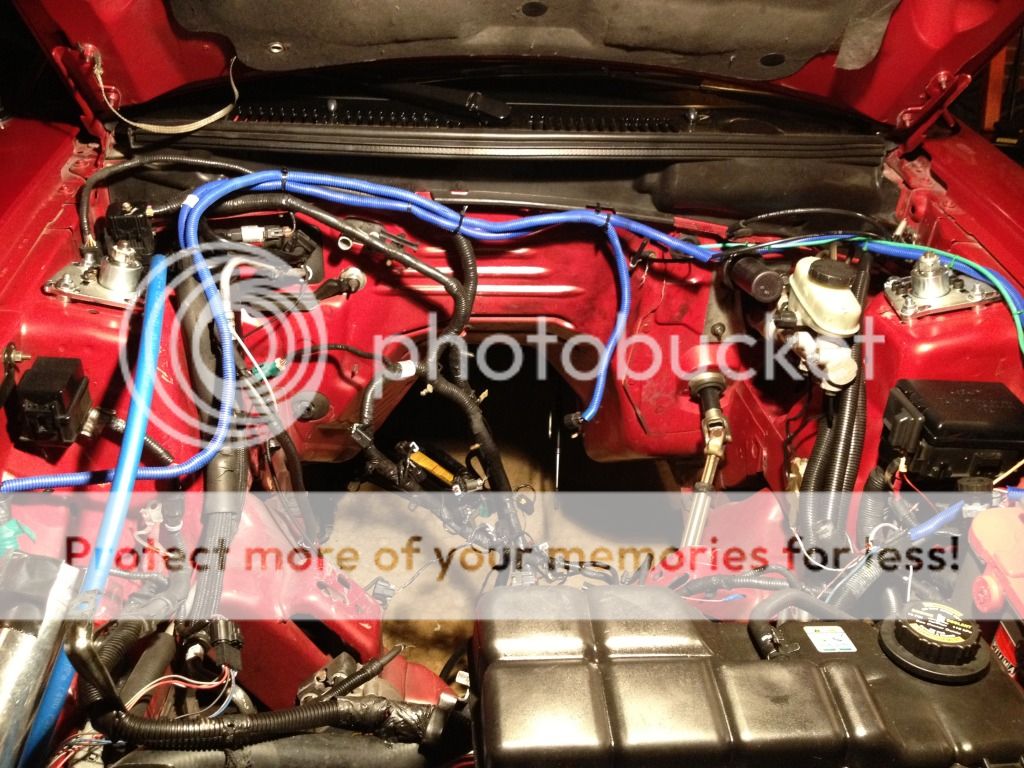 Engine Bay | Page 2 | Modded Mustang Forums