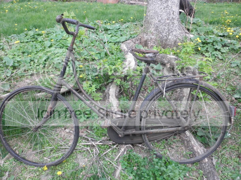 Hamlet girls bike | Rat Rod Bikes Bicycle Forum